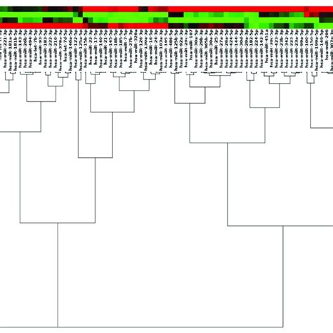 Profile Of Circulating Mirnas In Cad Patients Mirna Heat Map Download Scientific Diagram