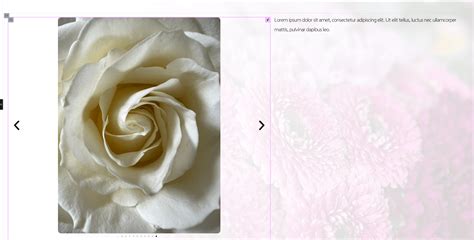 i want to use 5 different images on the image carousel can a spexific
