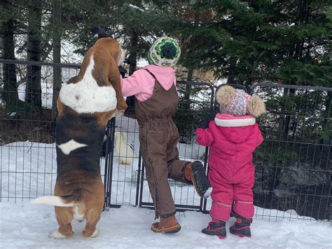 Riverbottom Bassets Added A New Photo Riverbottom Bassets