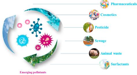 4 The Primary Sources Of Emerging Newly Identified Pollutants Download Scientific Diagram
