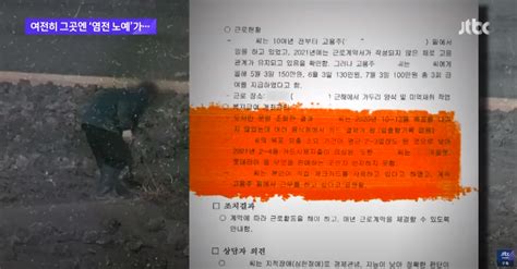 신안 염전 노예 또 터짐 포텐 터짐 최신순 에펨코리아
