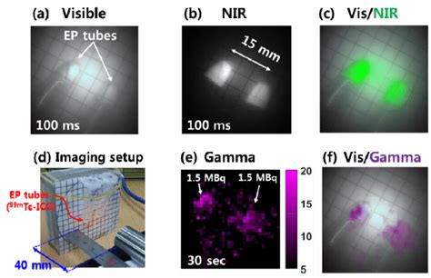 Simultaneous Nirgammavisible Images A Visible Image Of Two Ep Tube Download Scientific
