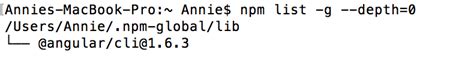 Angular Cli Ng Command Not Found In Terminal Stack Overflow