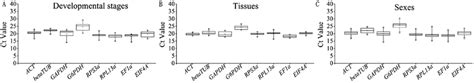 Average Ct Values Of Eight Candidate Reference Genes At Developmental