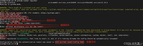 Gitops 2 Argocd和gitlab Runner安装配置argocd Install Csdn博客