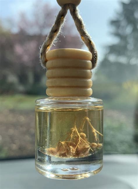Diffuseur De Parfum Pour Voiture Ou Petits Espaces Evasion Matran