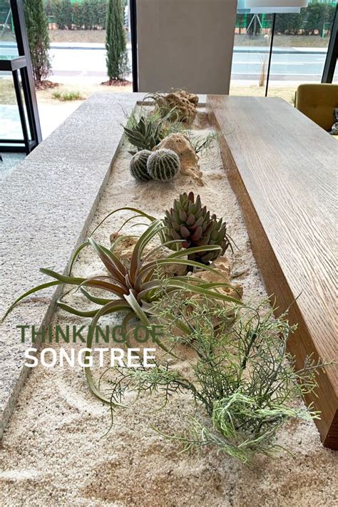 송트리 Songtree Plant Decor Interior Garden Garden Artwork