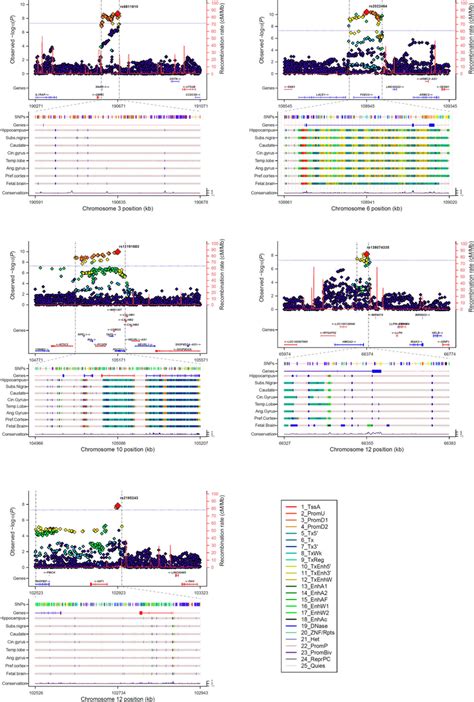 Regional Association And Functional Annotation Of Novel Genome Wide Download Scientific Diagram