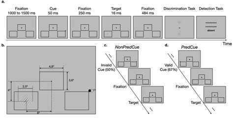 A Schematic Representation Of The Sequence Of Events In An Invalid Cue Download Scientific