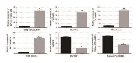 The Differential Expression Level Of Long Noncoding Rnas Lncrnas