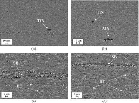 Microstructure Of The Studied Twip Steel A Longitudinal And B Download Scientific Diagram