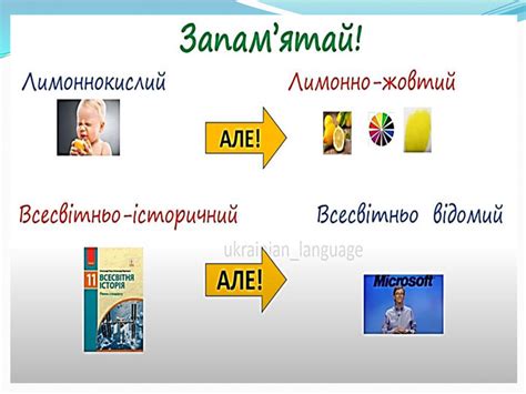 Презентація Складні слова Правопис складних слів