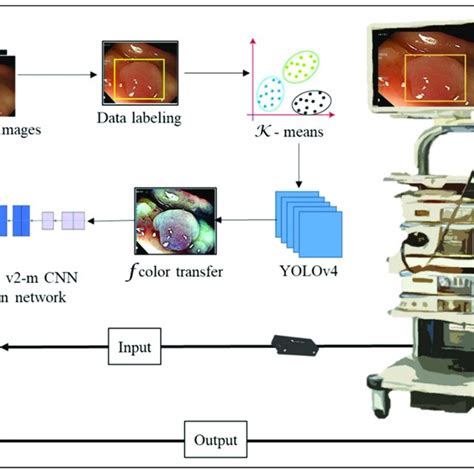 Nbi Simulated Image Enhancement System Workflow The Polyp Images Are Download Scientific