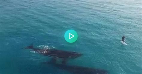 Nope  On Imgur