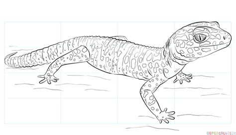 How To Draw A Leopard Gecko Step By Step Drawing Tutorials Geckos Leopardo Geckos Leopardo