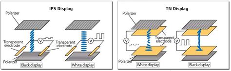 The Differences Of Tft And Ips Displays Which Is Better
