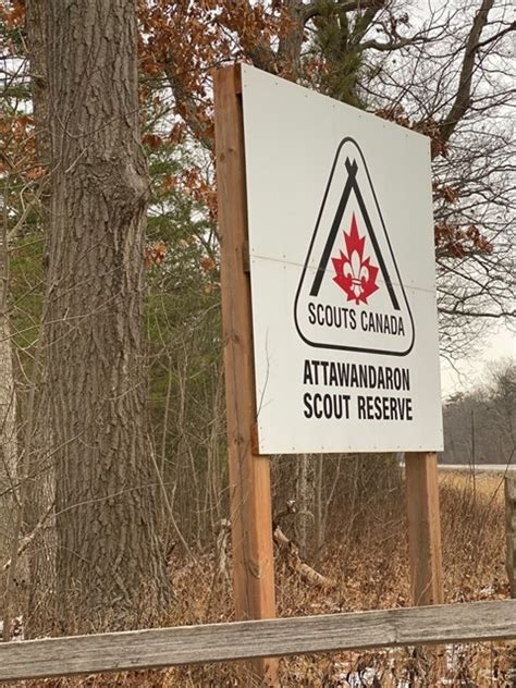 Geocaching Trackable Items Trackable Item Gallery