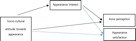 Figure 1 From The Mediating Effect Of Socio Cultural Attitude Towards Appearance On The