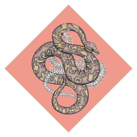 Banana Ball Python On Behance