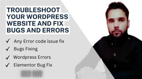 troubleshoot your wordpress website and fix bugs and errors by