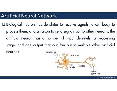 lecture 2 artificial neural network pdf web development internet