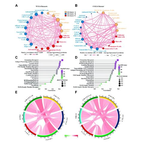 Related Inflammatory Pathways Of Siglec10 With Gsea Analysis A