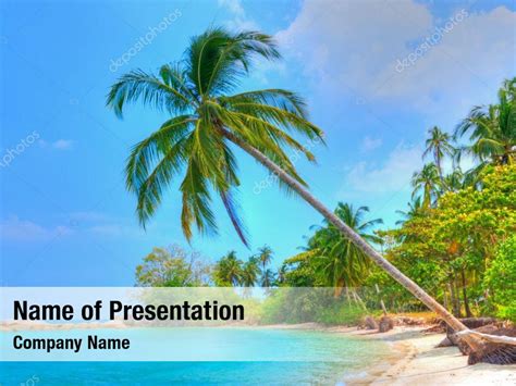 Beach Palm Tree Tree Over PowerPoint Template Beach Palm Tree Tree Over PowerPoint Background
