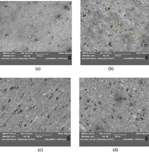 A Sem Of 5 B4c Fgm Layer B Sem Of 10 B4c Fgm Layer C Sem Of Download Scientific