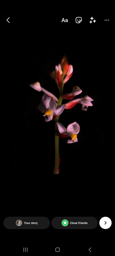 Is It Possible To Reduce The Size Of The Image Without Losing Quality R Gimp