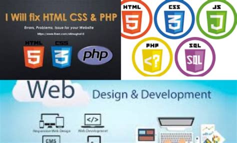 create professional websites in javascript html and css and fix bugs