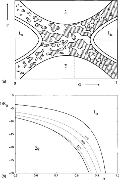 Microemulsion Phase Diagram As A Function Of The Oil To Water Ratio