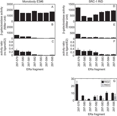 Effects Of C Terminal Truncations Of Er Lbd F Ranging From Residue 579