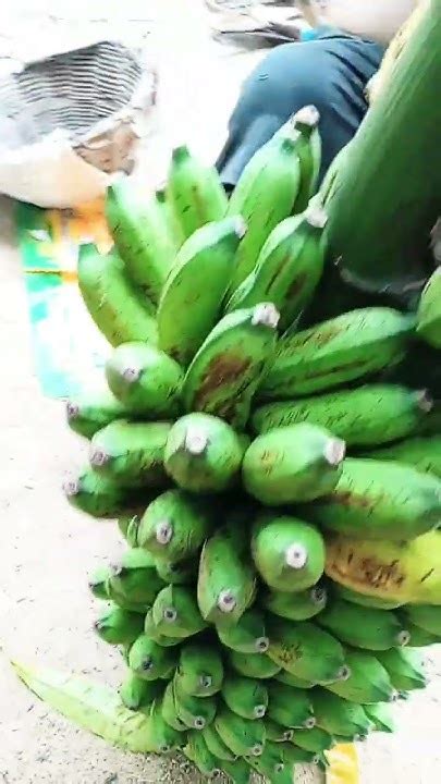 කොහොමද ඇබුල 😋😋 Youtube