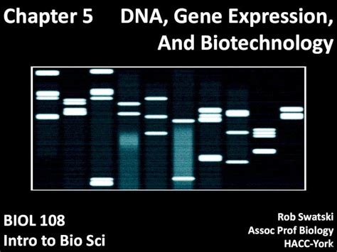 PDF BIOL 108 Chp 5 DNA DOKUMEN TIPS