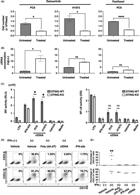 Egfr‐tkis Accelerate The Release Of The Cell‐free Dna Activating Type I