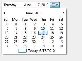 C DateTimePicker Control