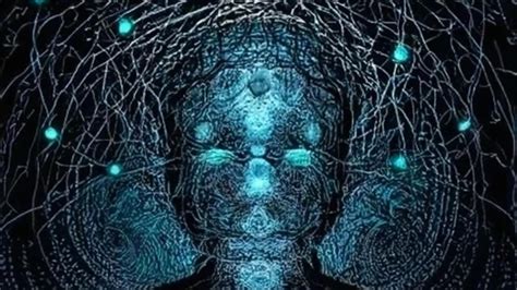 The Human Mycelium Connecting Our Sense Of Self And Solving Global Problems