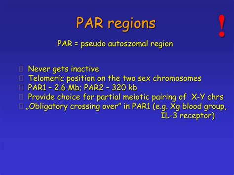 PPT Determination Of Sex Factors Genes And Development PowerPoint Presentation ID