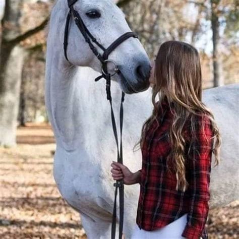 Нягтлан 💯ШИНЭЧЛЭГДСЭН ХУУЛИЙН ДАГУУ OНЛАЙНААР ЗОХИОН БАЙГУУЛАГДАХ КОМПАНИЙН САНХҮҮ ТАТВАР