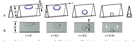 Figure 2 From Passive Phase Separation Of Microgravity Bubbly Flows Using Conduit Geometry
