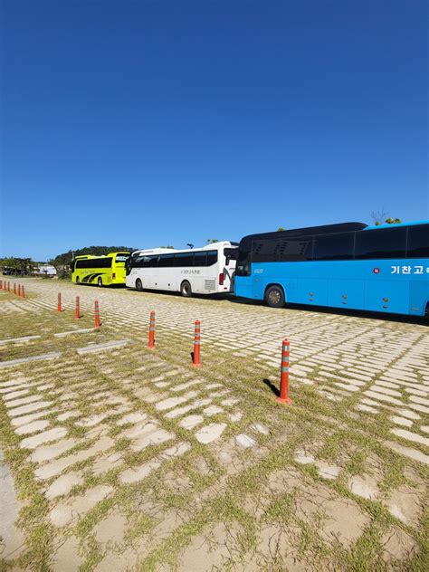 기찬고속관광 기사님구합니다 전라남도 영암군 삼호읍 당근알바