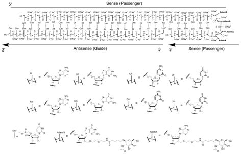 Rivfloza Solution For Injection Overview Mpi Us Spl Plr Rxreasoner