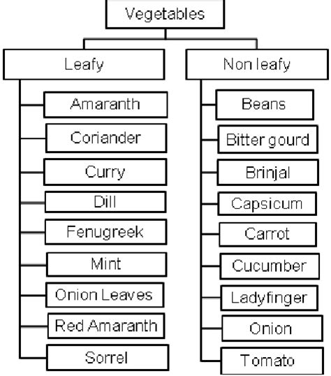 Vegetable Classification Chart