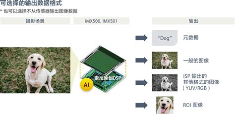 Ai In Sensor Isp And Soc 天一生水安防知识