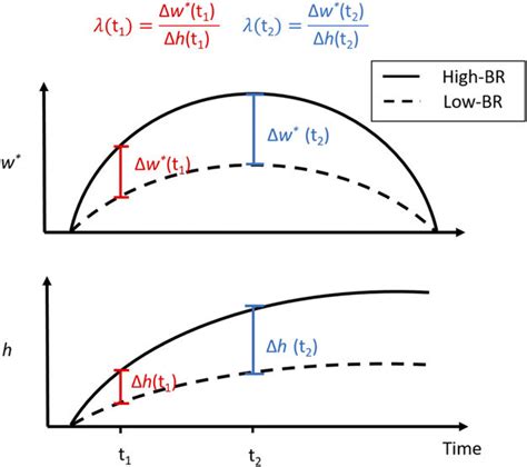 What Is The Definition Of Schematic Diagram Circuit Diagram