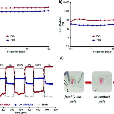 Frequency Sweep Tests Showing A Storage And B Loss Moduli Of P2k