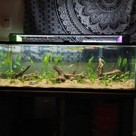 Here Is Why Gacha Heat Is Bad Quit Gacha Heat Now Rgachaheatfart