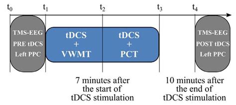 Graphical Explanation Of TMS EEG Experimental Procedure Download Scientific Diagram