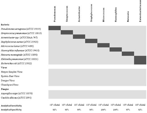 a graphical representation of the validation of optimized nested pcr