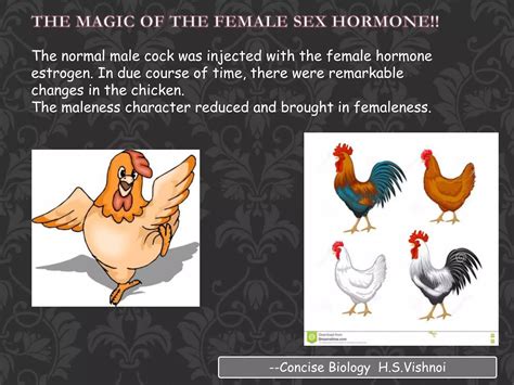 Animal Science Ppt Animal Hormones Human Hormones From